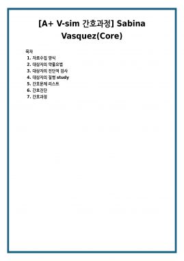 [V-sim 간호과정] Sabina Vasquez(Core)-1페이지