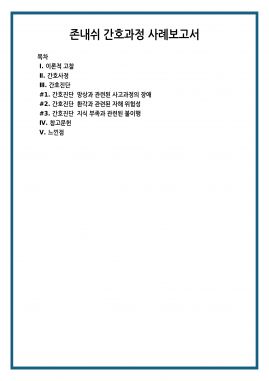 존내쉬 간호과정 사례보고서-1페이지
