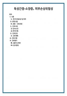 독성간염-소양증, 피부손상위험성-1페이지