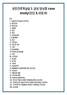성인간호학실습1 급성 담낭염 case study(진단3,과정3)-1페이지