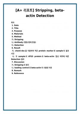 [리포트] Stripping, beta-actin Detection-1페이지