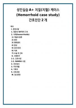 성인실습 치질(치혈) 케이스(Hemorrhoid case study) 간호진단 2개-1페이지