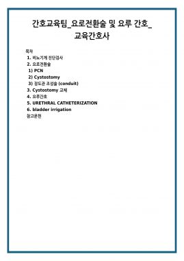 간호교육팀_요로전환술 및 요루 간호_교육간호사-1페이지