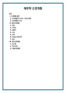해부학 신경계통-1페이지