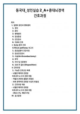 동국대_성인실습2_중대뇌경색 간호과정-1페이지