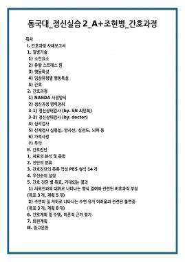 동국대_정신실습2_조현병_간호과정-1페이지