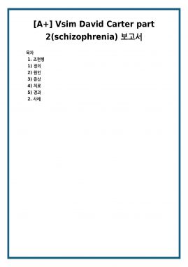 Vsim David Carter part 2(schizophrenia) 보고서-1페이지