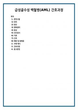 급성골수성 백혈병(AML) 간호과정-1페이지