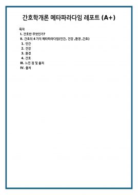 간호학개론 메타파라다임-1페이지