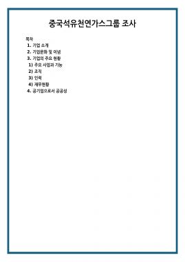 중국석유천연가스그룹 조사-1페이지