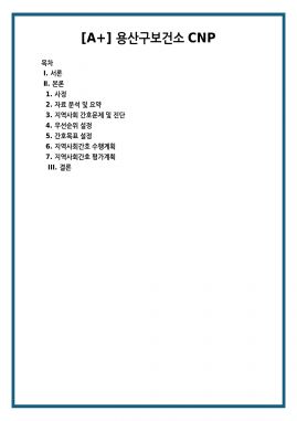 용산구보건소 CNP-1페이지