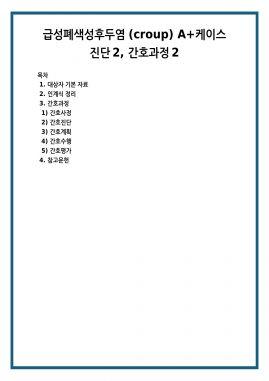 급성폐색성후두염 (croup) 케이스 진단2, 간호과정2-1페이지