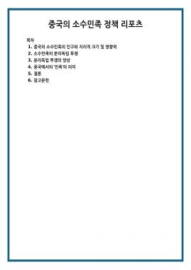 중국의 소수민족 정책 리포츠-1페이지