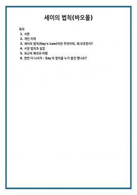 세이의 법칙(바오몰)-1페이지