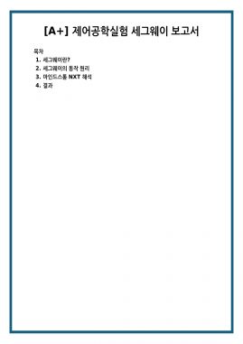 제어공학실험 세그웨이 보고서-1페이지
