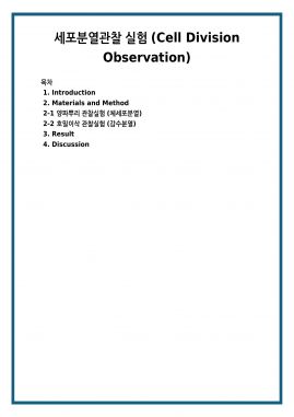 세포분열관찰 실험 (Cell Division Observation)-1페이지