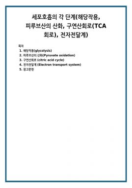 세포호흡의 각 단계(해당작용, 피루브산의 산화, 구연산회로(TCA회로), 전자전달계)-1페이지