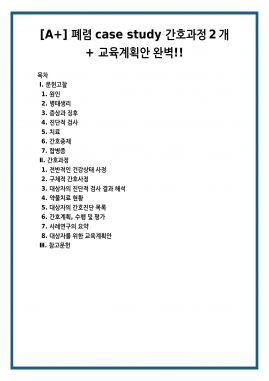 폐렴 case study 간호과정2개 교육계획안 완벽-1페이지