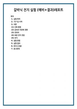 갈바닉 전지 실험 (예비+결과)레포트-1페이지