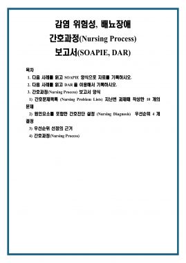 감염 위험성, 배뇨장애 간호과정(Nursing Process) 보고서(SOAPIE, DAR)-1페이지