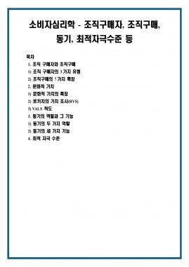 소비자심리학 - 조직구매자, 조직구매, 동기, 최적자극수준 등-1페이지