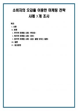 소비자의 오감을 이용한 마케팅 전략 사례 3개 조사-1페이지