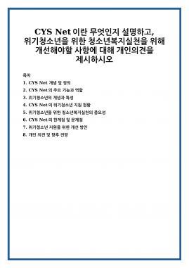 CYS Net이란 무엇인지 설명하고, 위기청소년을 위한 청소년복지실천을 위해 개선해야할 사항에 대해 개인의견을 제시하시오-1페이지