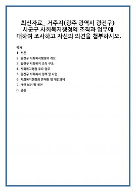 최신자료_ 거주지(광주 광역시 광진구) 시군구 사회복지행정의 조직과 업무에 대하여 조사하고 자신의 의견을 첨부하시오.-1페이지