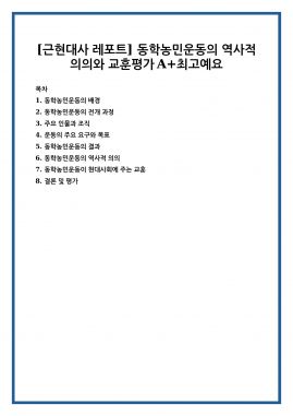 [근현대사] 동학농민운동의 역사적 의의와 교훈평가-1페이지