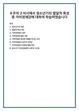 청소년기의 개념 발달적 특성 개요 자아정체감의 정의 자아정체감 발달 과정-1페이지
