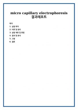 micro capillary electrophoresis 결과레포트-1페이지