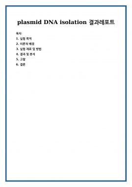 plasmid DNA isolation 결과레포트-1페이지