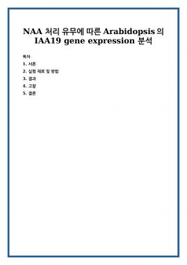 NAA 처리 유무에 따른 Arabidopsis의 IAA19 gene expression 분석-1페이지