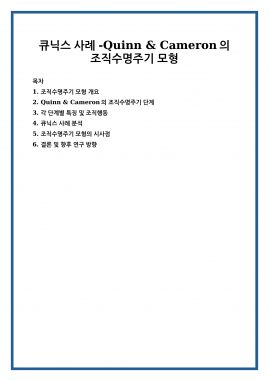 큐닉스 사례 -Quinn & Cameron의 조직수명주기 모형-1페이지