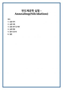 반도체공학 실험 - Annealing(Silcidation)-1페이지