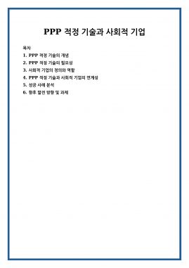 PPP 적정 기술과 사회적 기업-1페이지