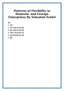Patterns of Flexibility in Domestic and Foreign Enterprises By Sebastial Schief-1페이지