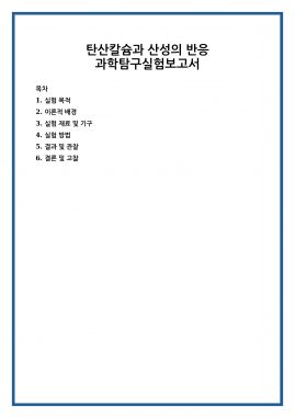 탄산칼슘과 산성의 반응 과학탐구실험보고서-1페이지