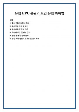 유럽 EPC출원의 요건 유럽 특허법-1페이지