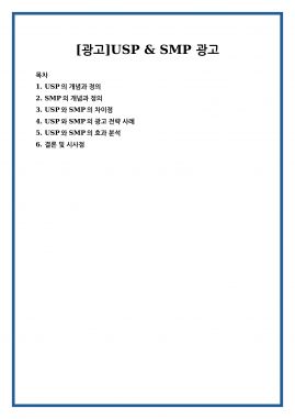 [광고]USP & SMP 광고-1페이지