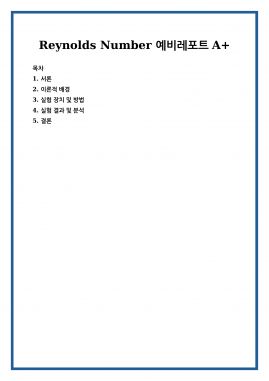 Reynolds Number 예비레포트-1페이지
