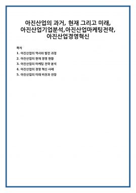 아진산업의 과거, 현재 그리고 미래,아진산업기업분석,아진산업마케팅전략,아진산업경영혁신-1페이지