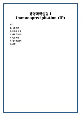 생명과학실험1 Immunoprecipitation (IP)-1페이지