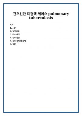 간호진단 폐결핵 케이스 pulmonary tuberculosis-1페이지