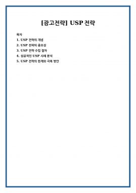 [광고전략] USP전략-1페이지