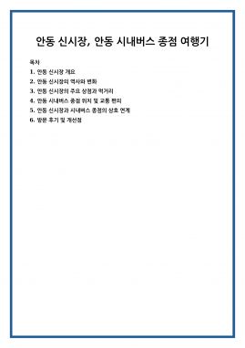 안동 신시장, 안동 시내버스 종점 여행기-1페이지