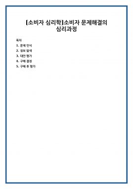 [소비자 심리학]소비자 문제해결의 심리과정-1페이지