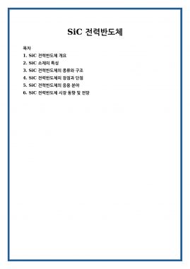 SiC 전력반도체-1페이지
