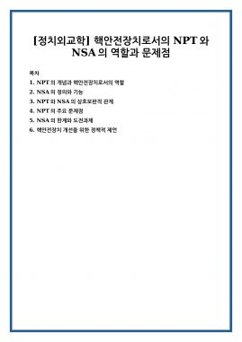 [정치외교학] 핵안전장치로서의 NPT와 NSA의 역할과 문제점-1페이지