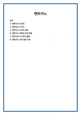 펜토미노 레포트 자료-1페이지